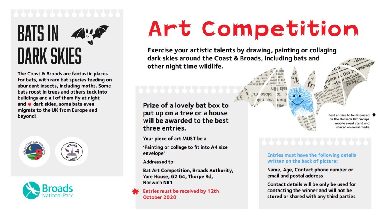 News – Norfolk and Norwich Bat Group